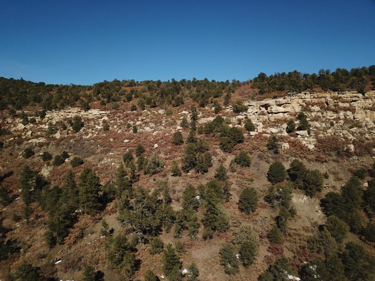 Timber Canyon Rd, Trinidad, CO 81082 | LandWatch