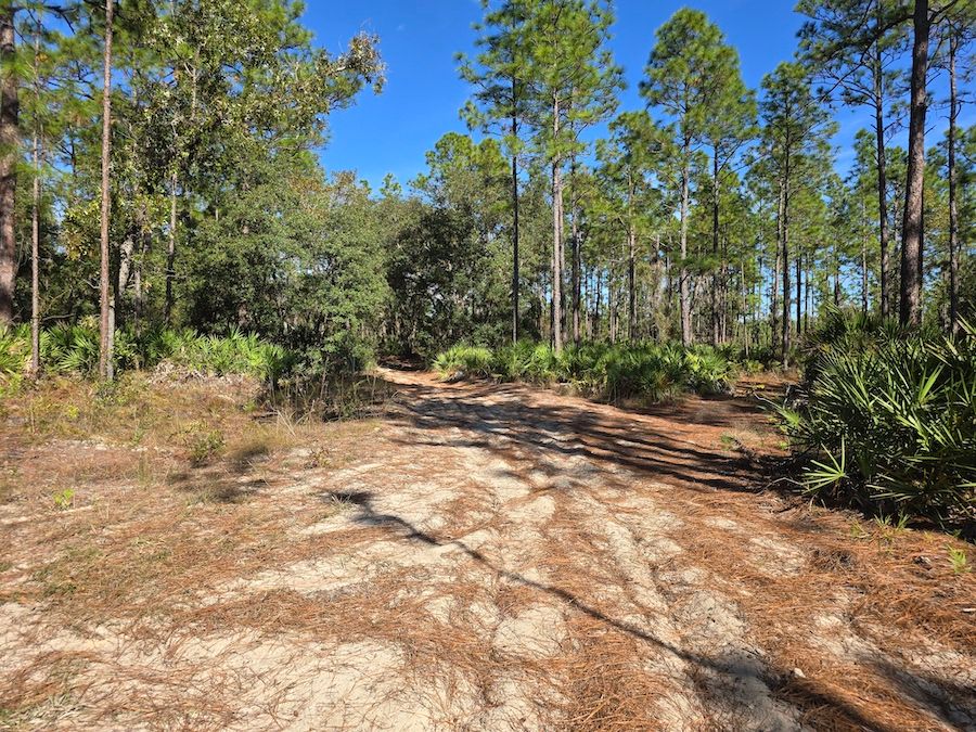 5449 N Smokey Mountain Pt., Lot#WP001, Dunnellon, FL 34433 | LandWatch