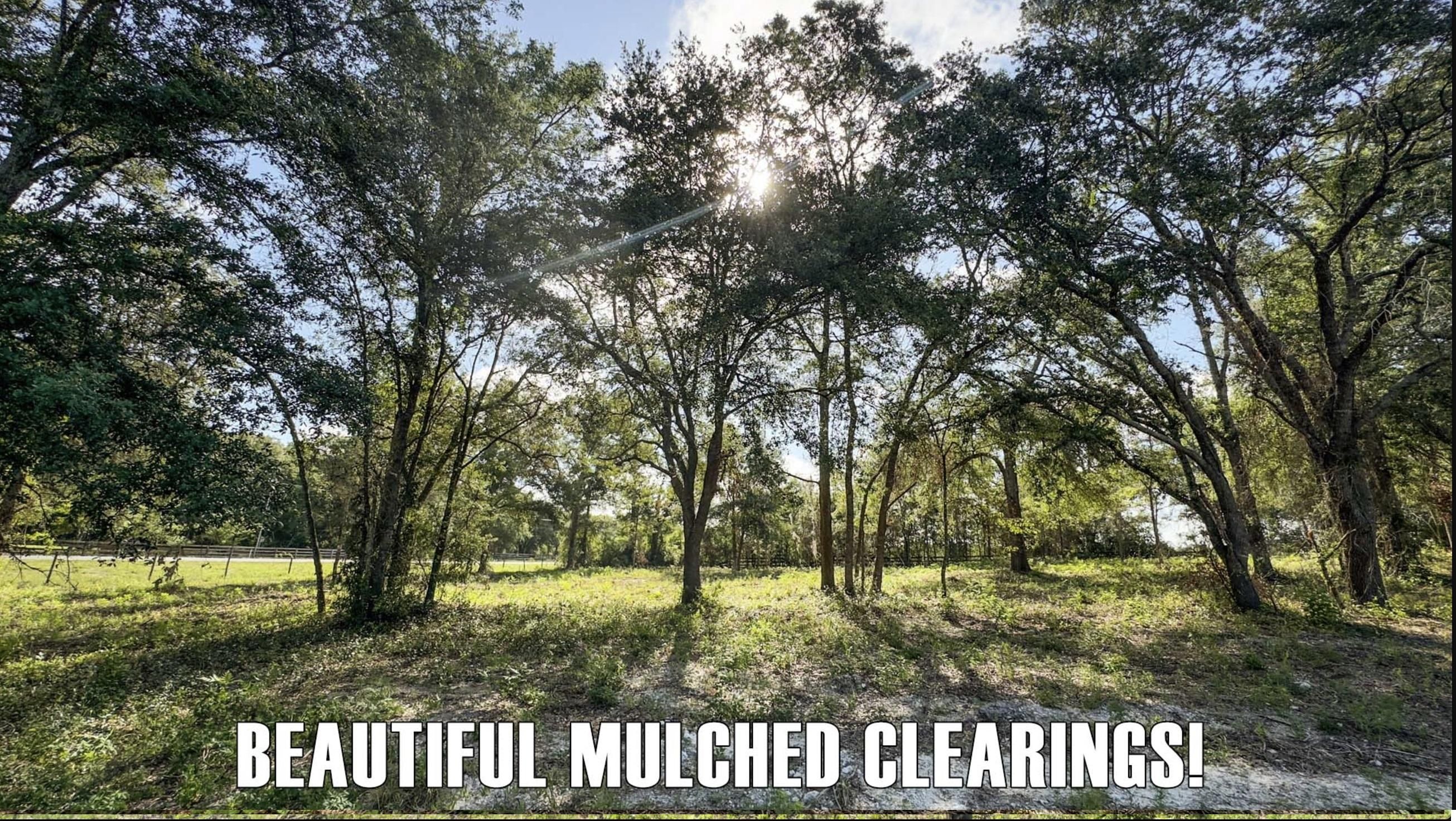 3379 County Road 340, Bell, FL 32619 | LandWatch