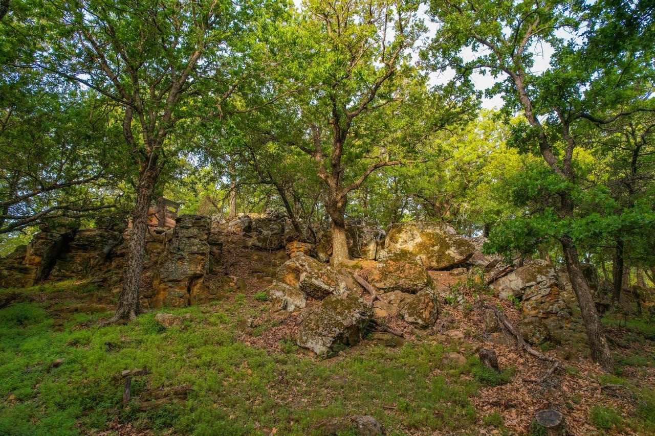 400 Pumphrey Road, Loving, TX 76460 | LandWatch