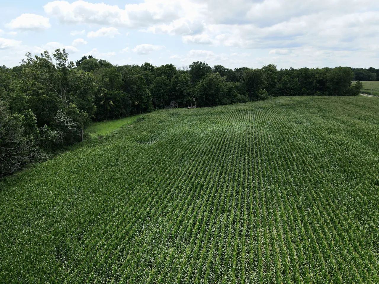 11.89 acres in Georgetown, IL, 61846 | MLS: 6246121 | LandWatch