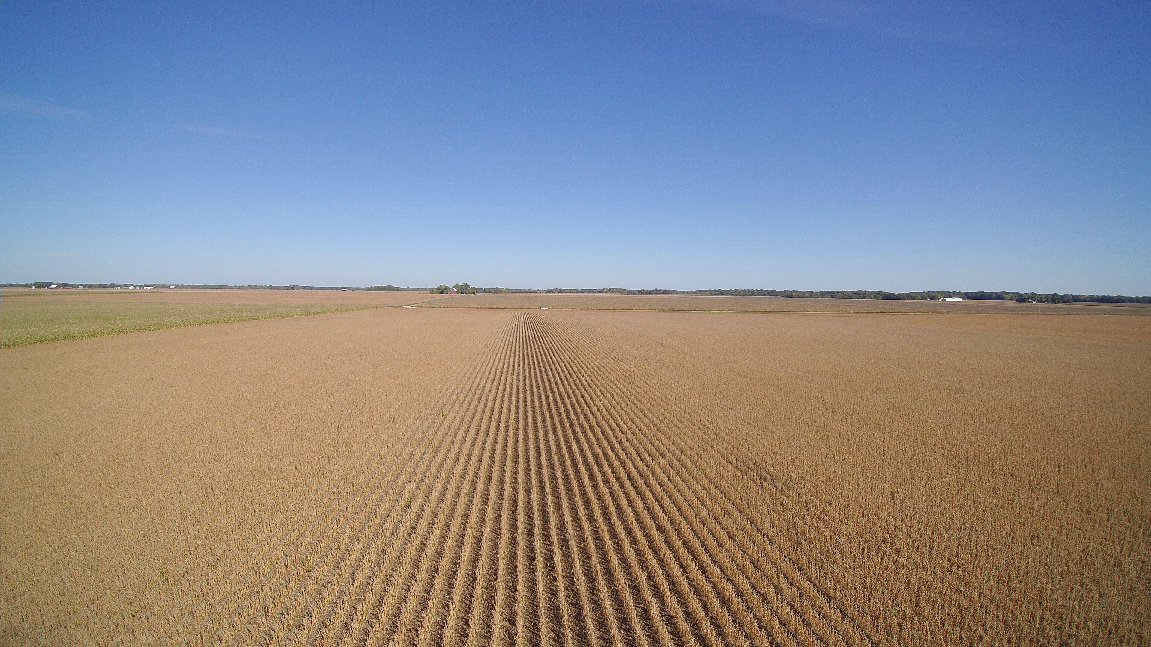 60 acres in Findlay, IL, 62534 | LandWatch