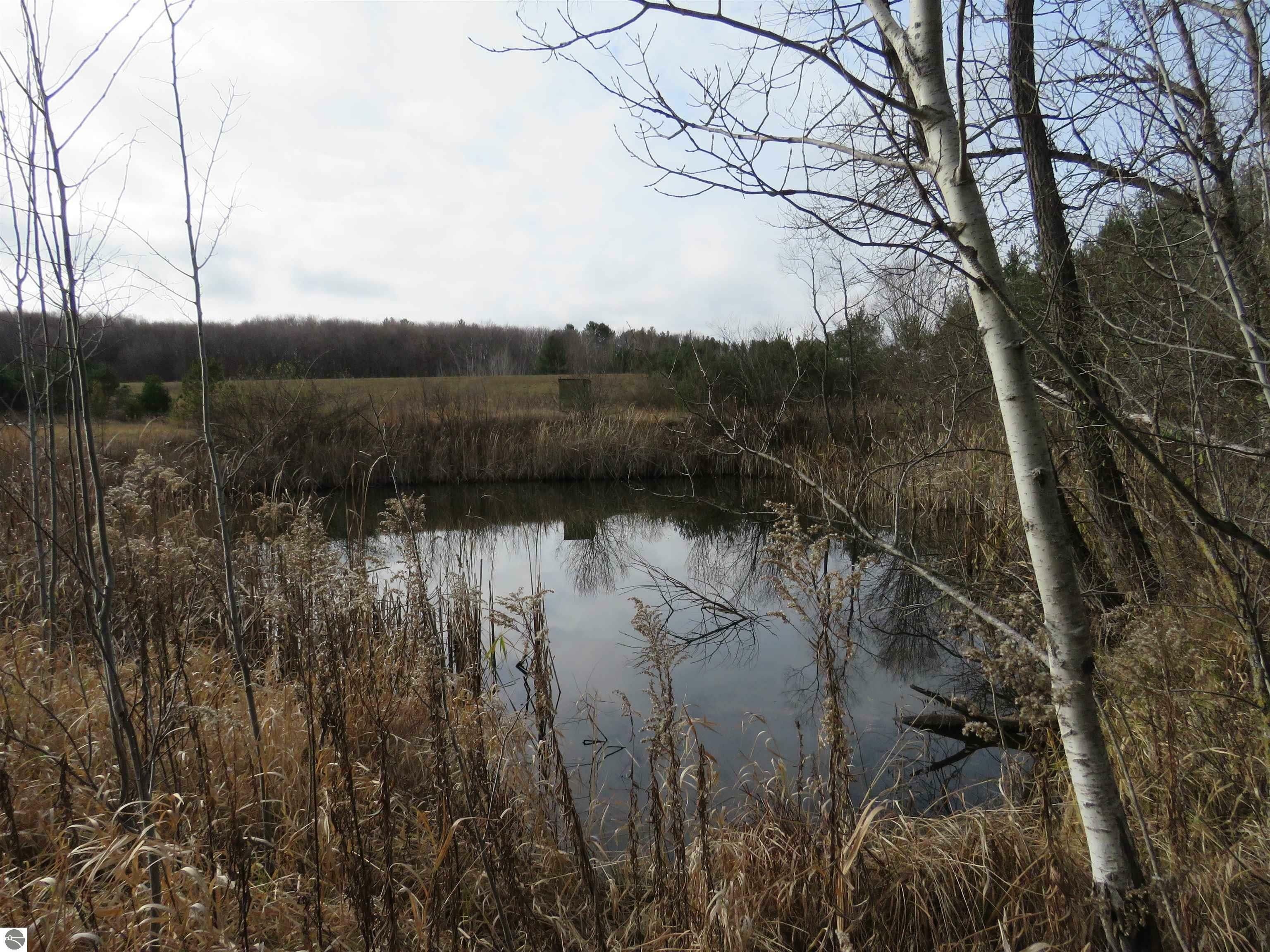 00 N 43 1/4 ROAD, Manton, MI 49663 | MLS: 1929257 | LandWatch