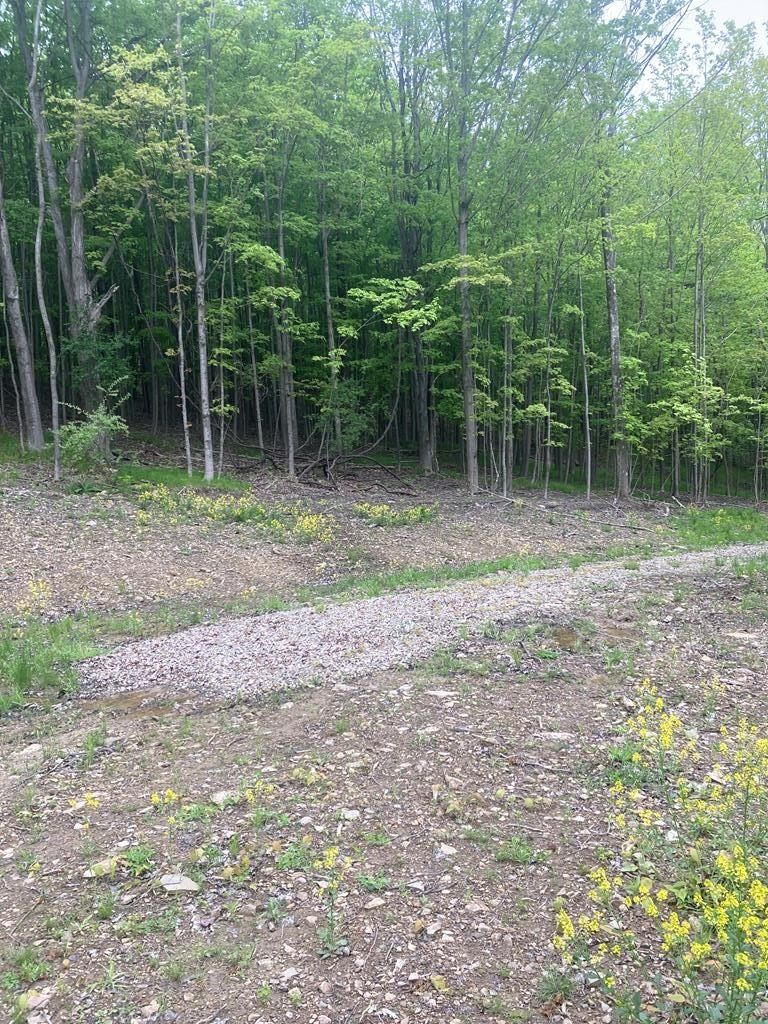 4466 Swale Rd, Cameron, NY 14819 | MLS: 278064 | LandWatch