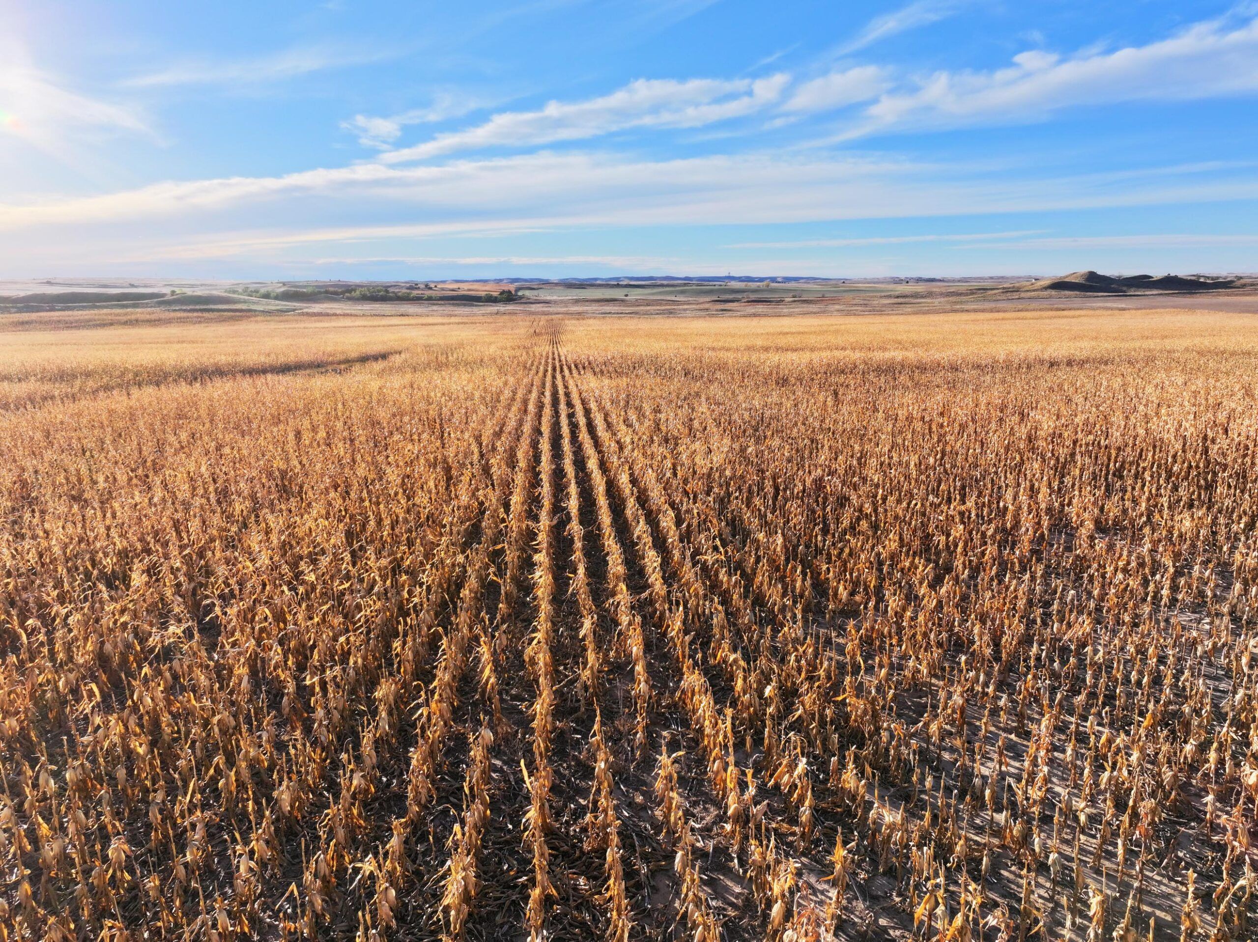 Wellfleet, NE 69170, Wellfleet, NE 69170 | LandWatch