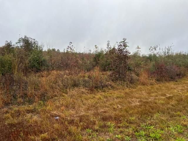 21 North Street, Peterman, AL 36471 | MLS: 17373 | LandWatch