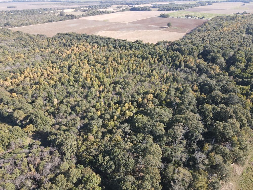 Highway 577 Lot# WP 002, Crowville, LA 71230 | LandWatch