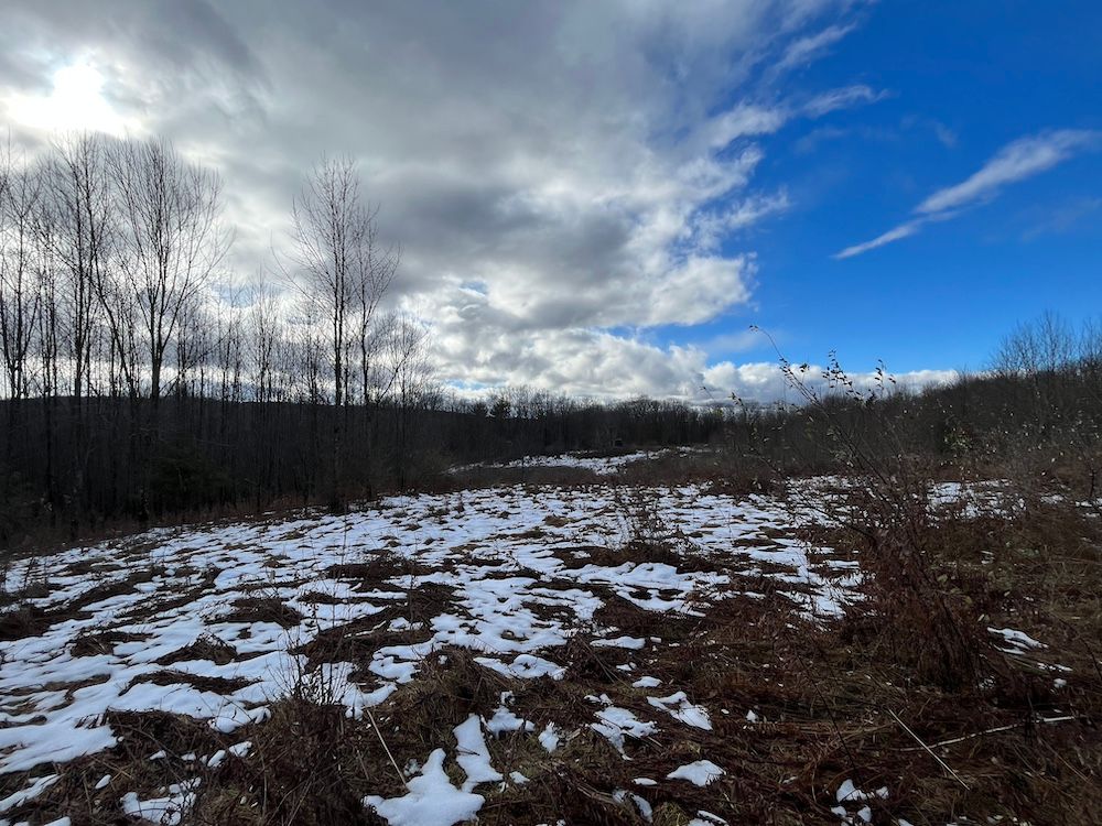 Langford Creek Road, Lot#WP001, Van Etten, NY 14889 | MLS: 11381567 | LandWatch