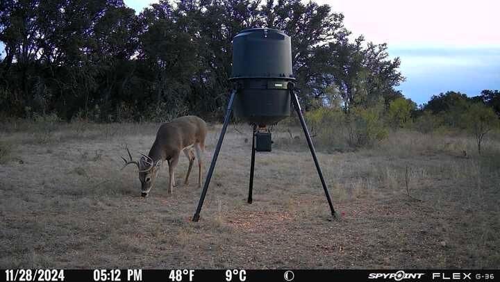 31 County Road 531, Mullin, TX 76864 | LandWatch