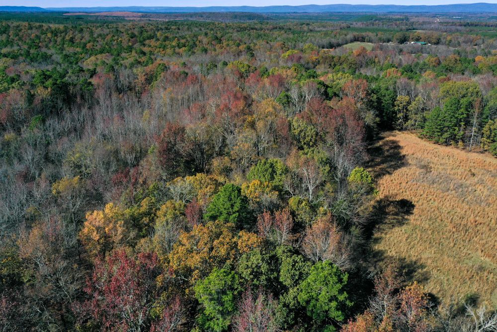0000 Polk Road 227, Hatton, AR 71937 | MLS: Polk 40 | LandWatch