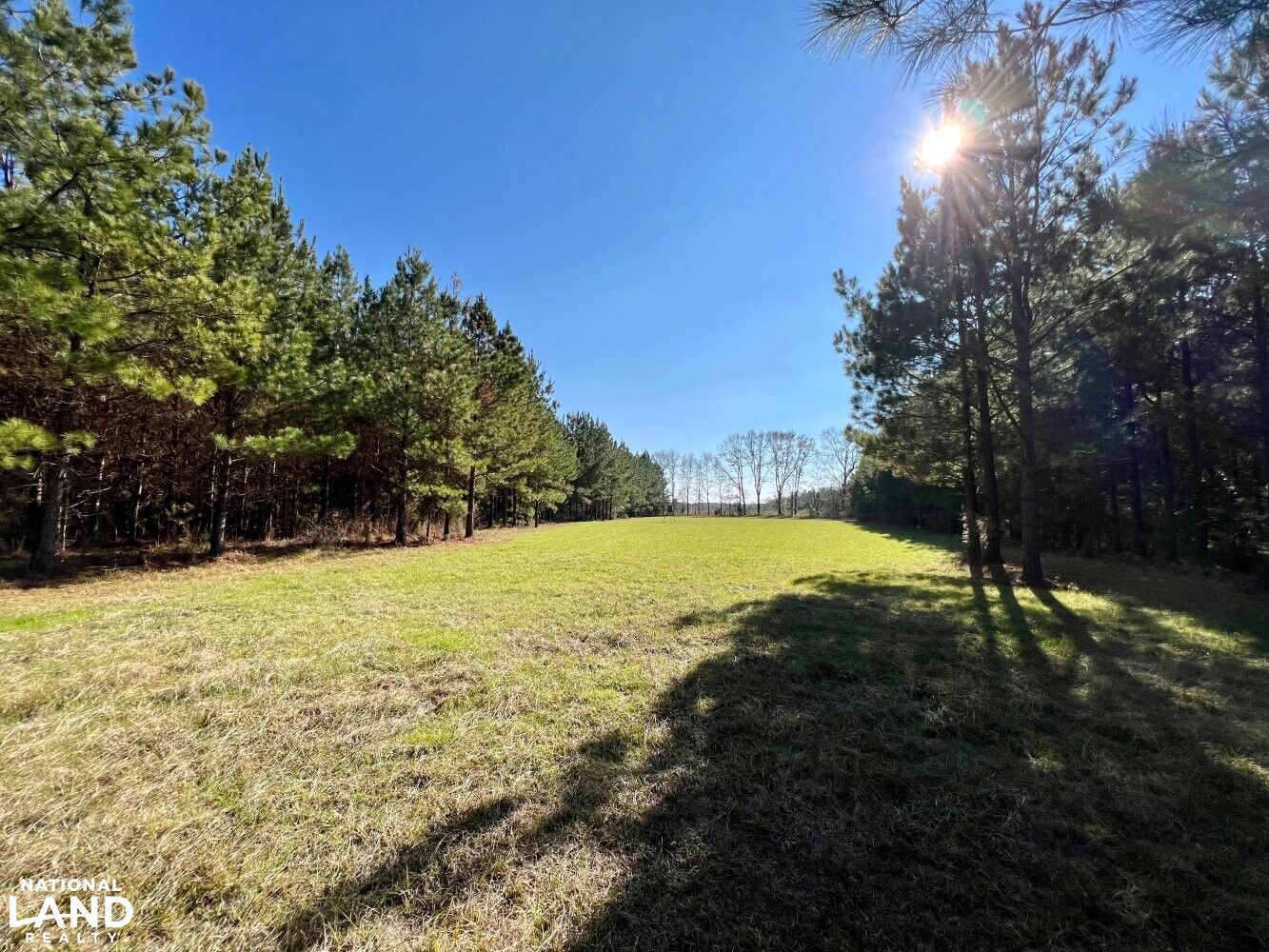 0 County Road 80, Tyler, AL 36785 | LandWatch