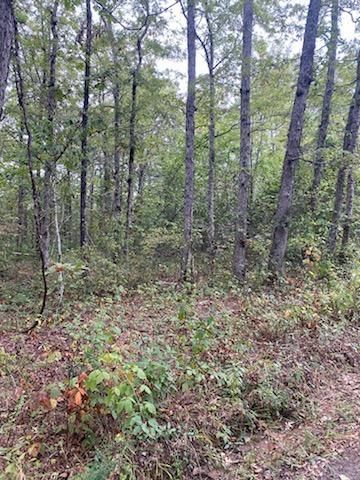 Rural Route, Hodgen, OK 74939 | LandWatch