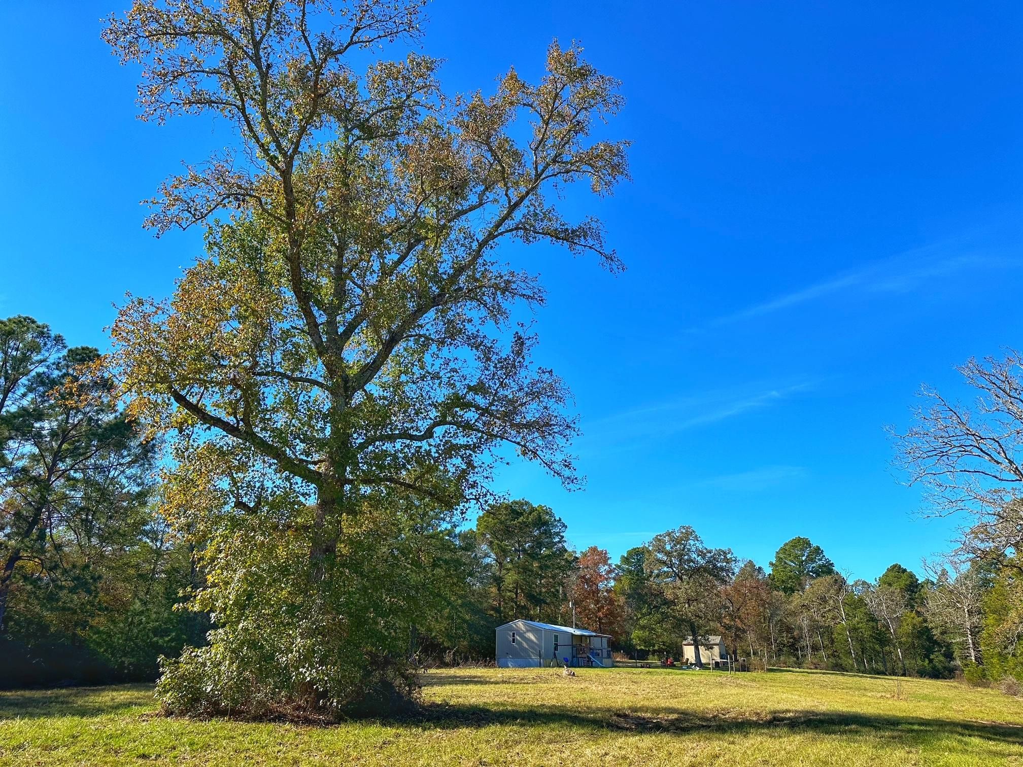 4630 FM811, Centerville, TX 75833 | LandWatch