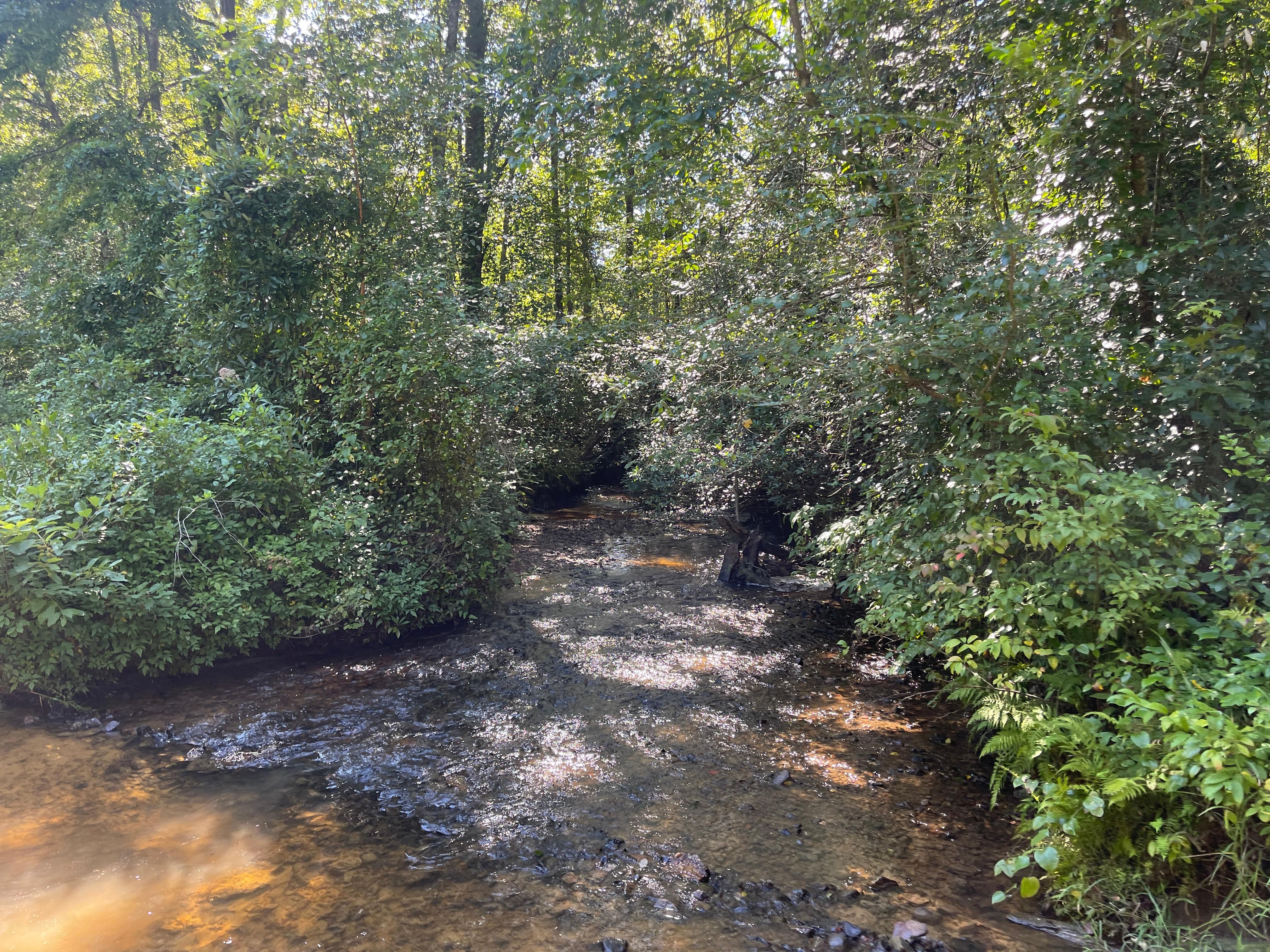 0 Beaver Creek Road, Beaverton, AL 35544 | LandWatch
