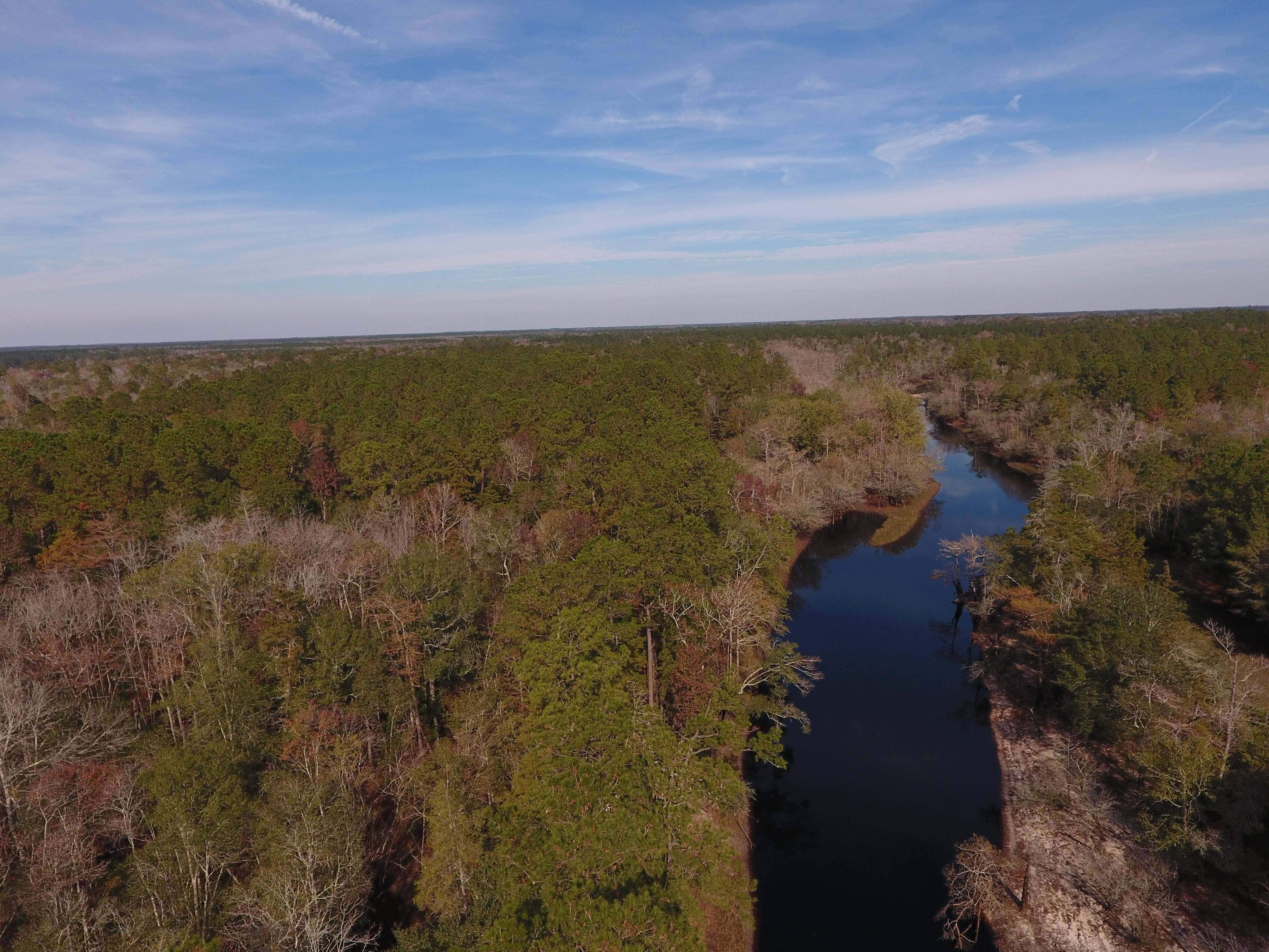 0 Near 17687 New Britton Highway East, Nakina, NC 28455 | MLS ...