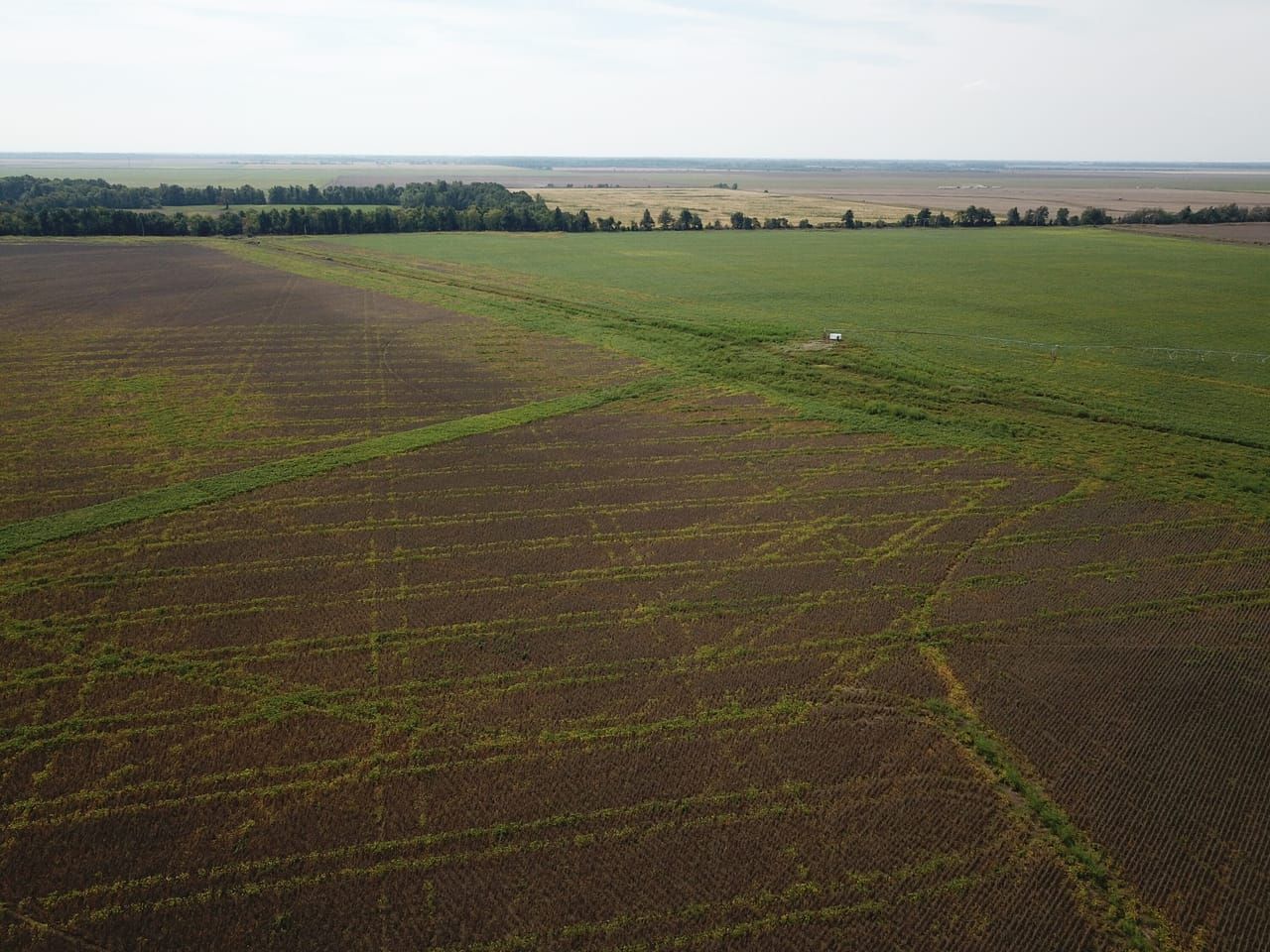 SFC 526, Heth, AR 72346 | LandWatch