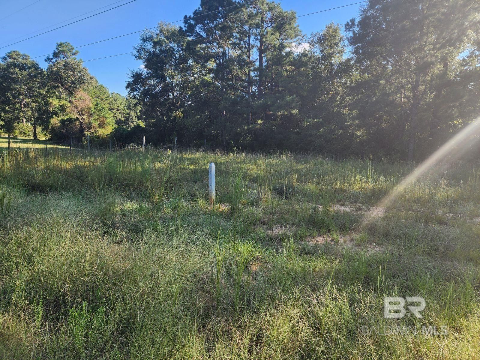 0 Pea Ridge Road, Brewton, AL 36426 | MLS: 371150 | LandWatch