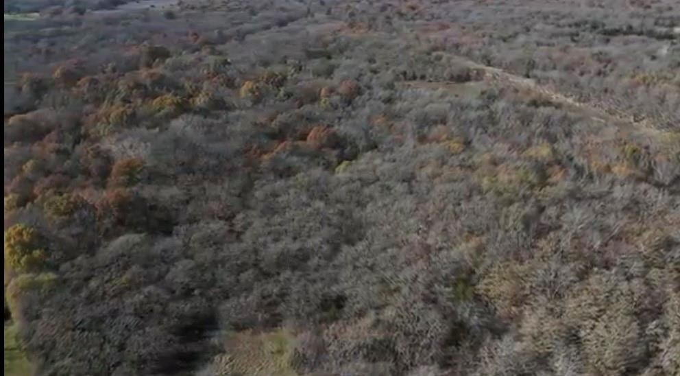 CR 1650, Tupelo, OK 74871 | MLS: 1146067 | LandWatch