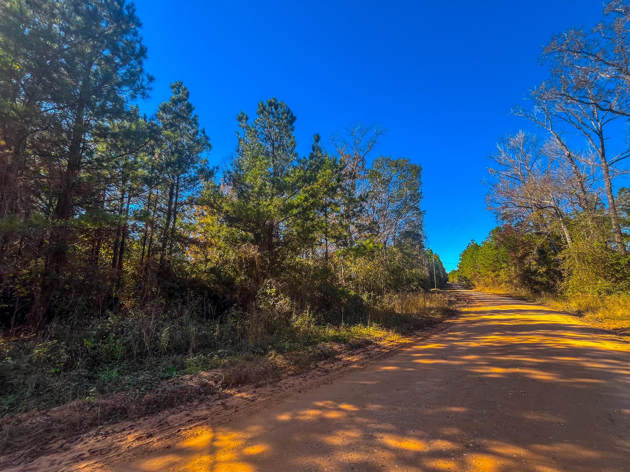 1410 CR 545, Woden, TX 75961 | MLS: Buildable Pine Plantation Acreage ...