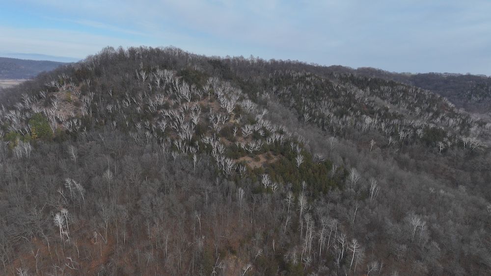 xxxx County 7 Lot#WP001, Hokah, MN 55947 | LandWatch