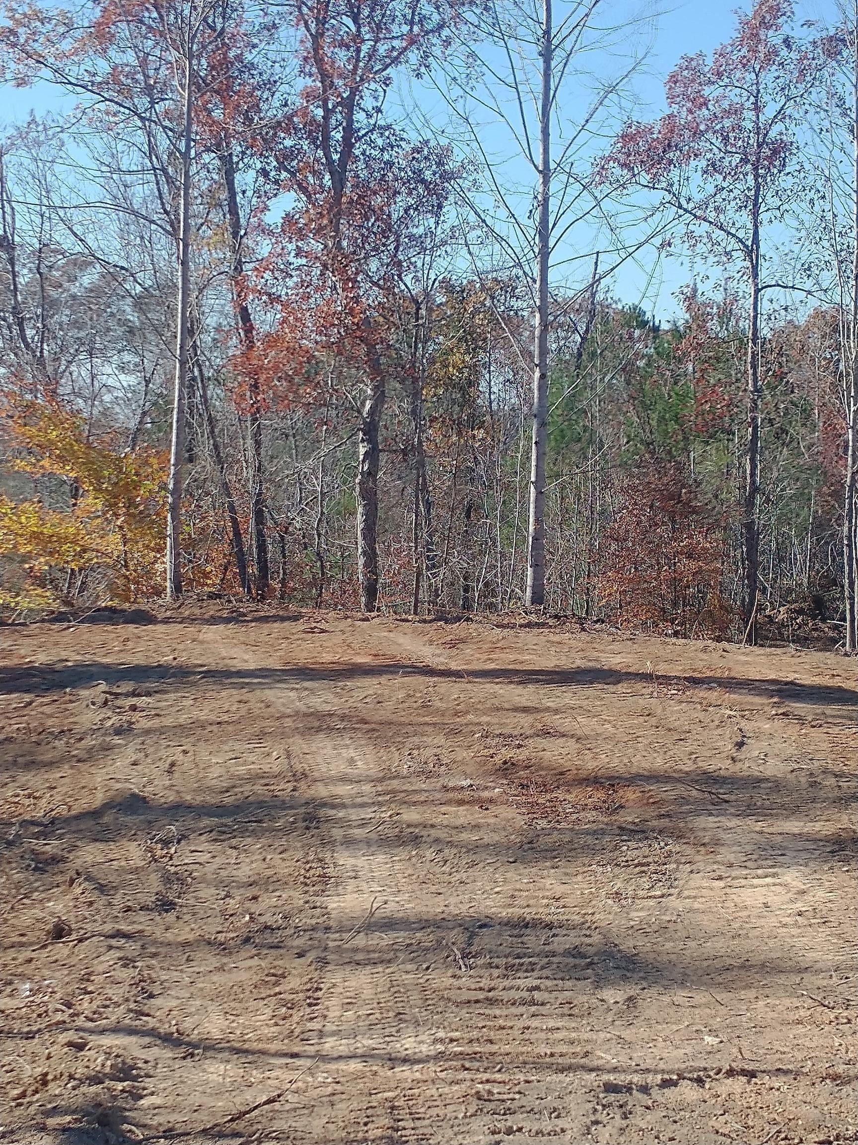 Serenity Lane, Winterboro, AL 35160 | LandWatch