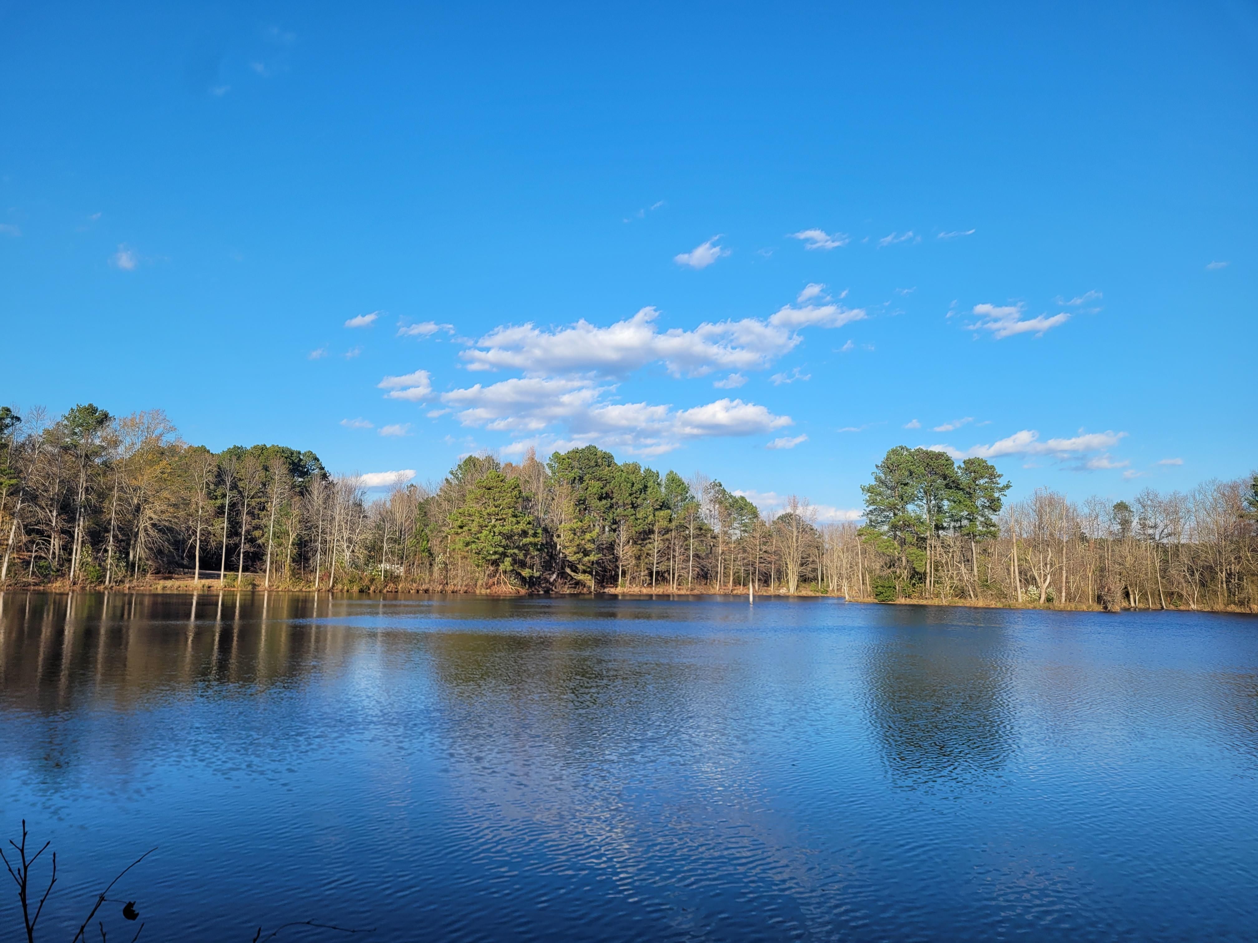 1903 Shirley Creek Road, Bethune, SC 29009 | LandWatch