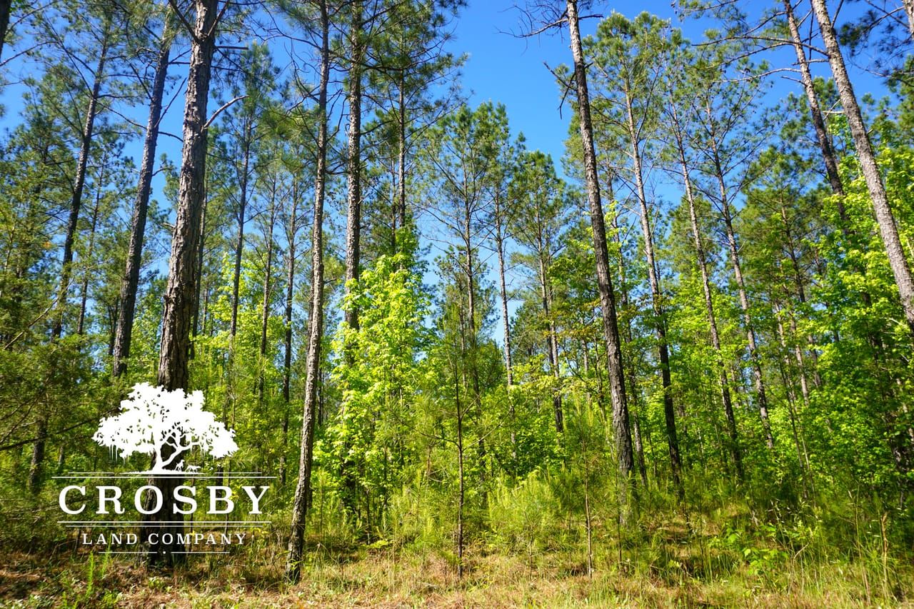 61.9 acres in Troy, SC, 29848 | LandWatch