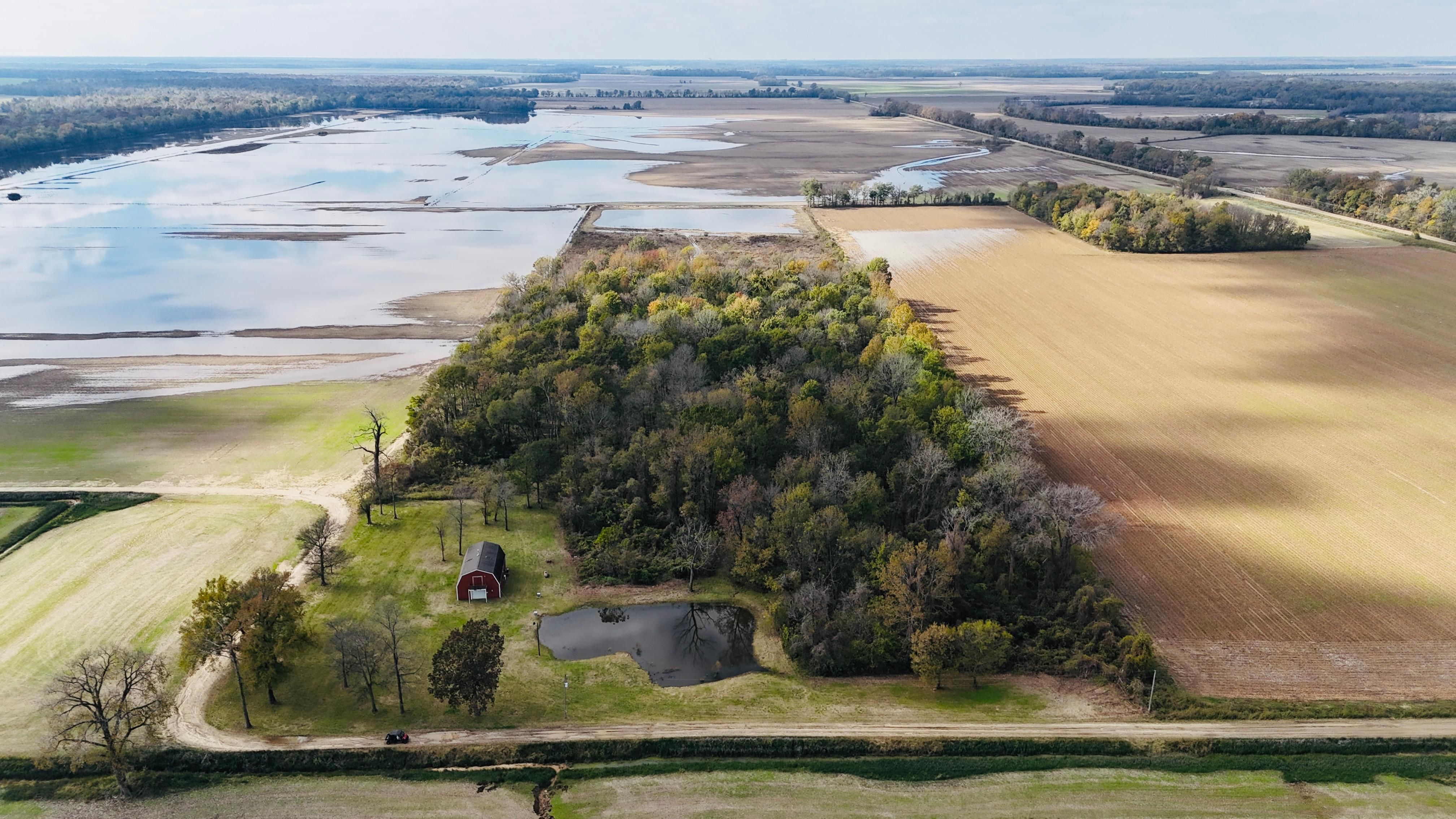 Hwy 88, Halls, TN 38040 | MLS: MLS# 247587 | LandWatch