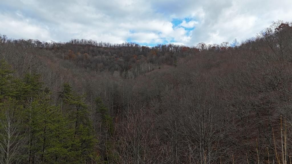 00 Walnut Hollow of Mallet Fork, Pine Top, KY 41843 | MLS: 124202 ...