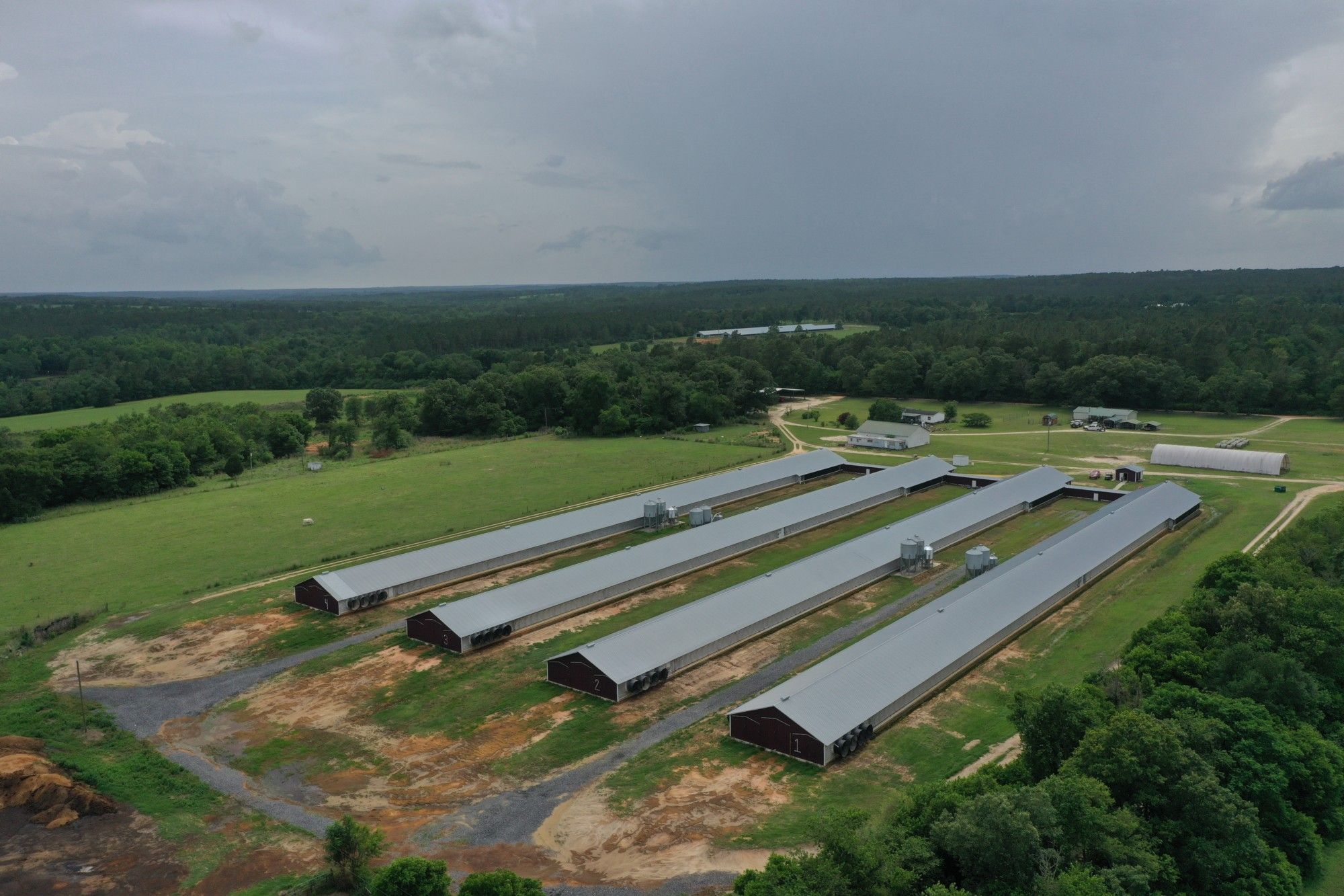 408 Kennedy Pond Rd, Wagener, SC 29164 | LandWatch