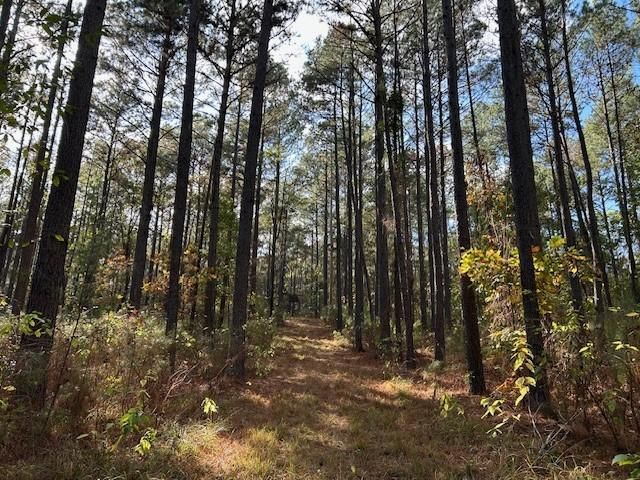 200 acres in Plain Dealing, LA, 71064 | LandWatch