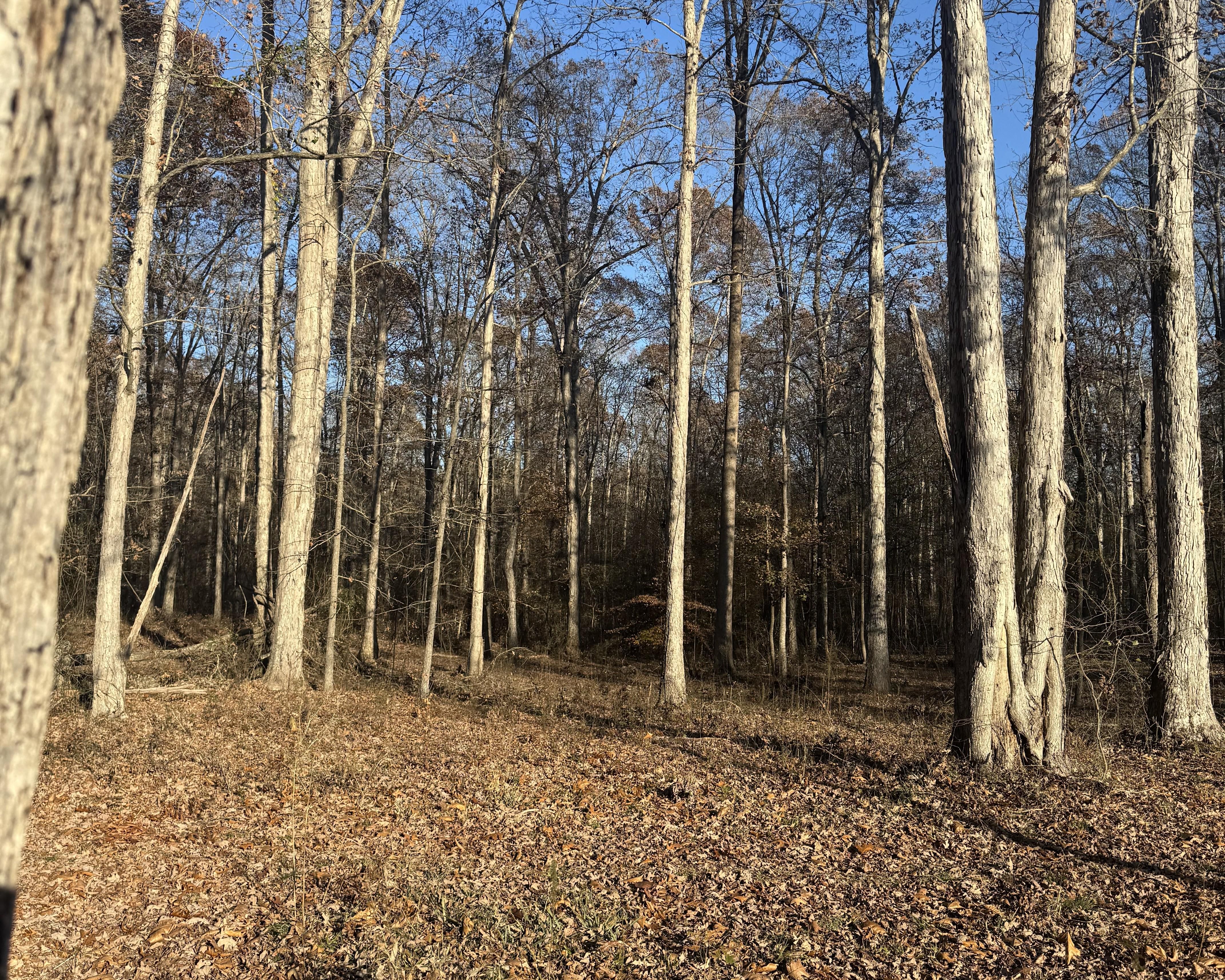 2665 Oakley Trail, Statham, GA 30666 | LandWatch