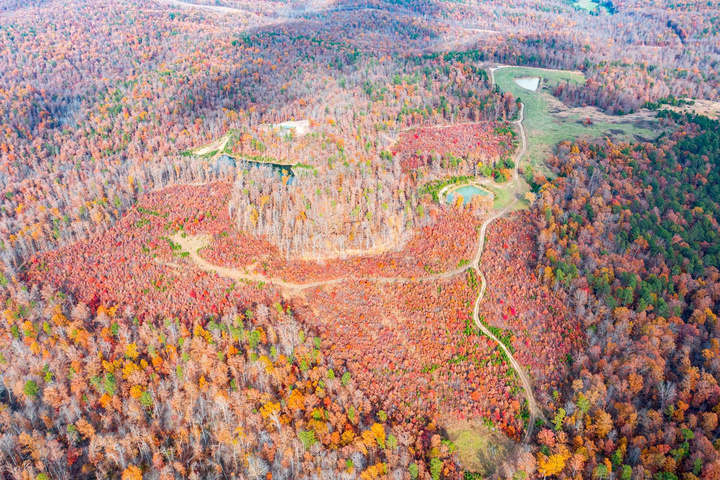 13.03 acres in Redford, MO, 63665 | LandWatch