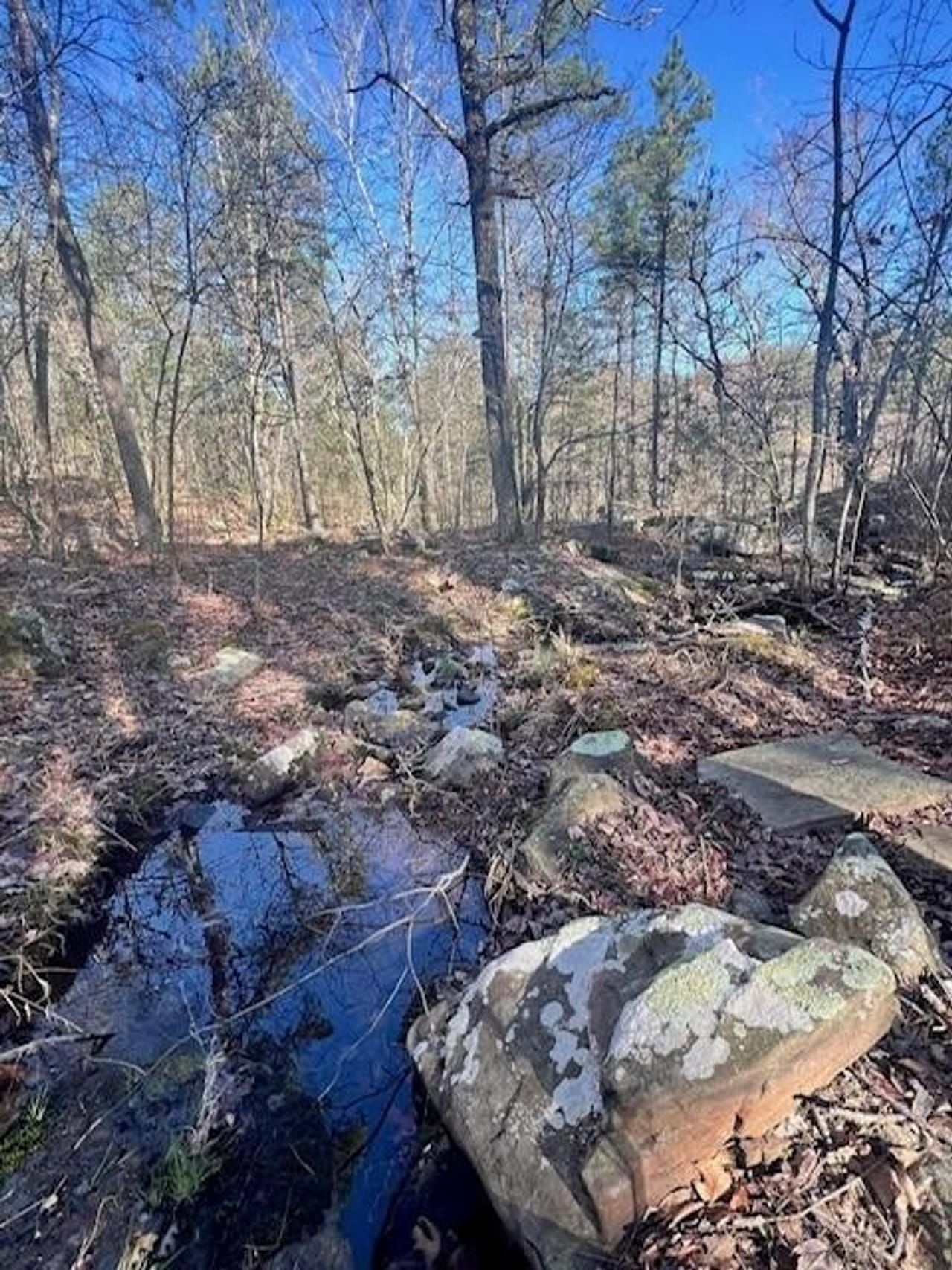 30 acres in Panola, OK, 74559 | MLS: 2431403 | LandWatch