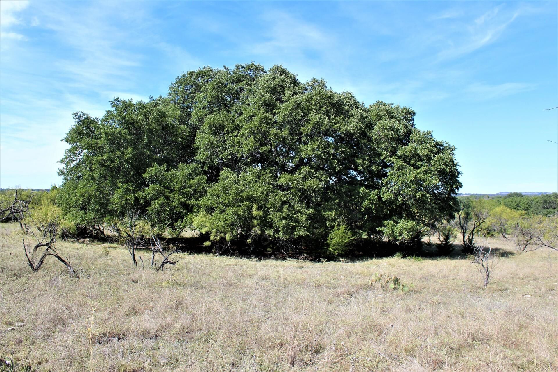 T11 TBD County Road 118, Mullin, TX 76864 | LandWatch