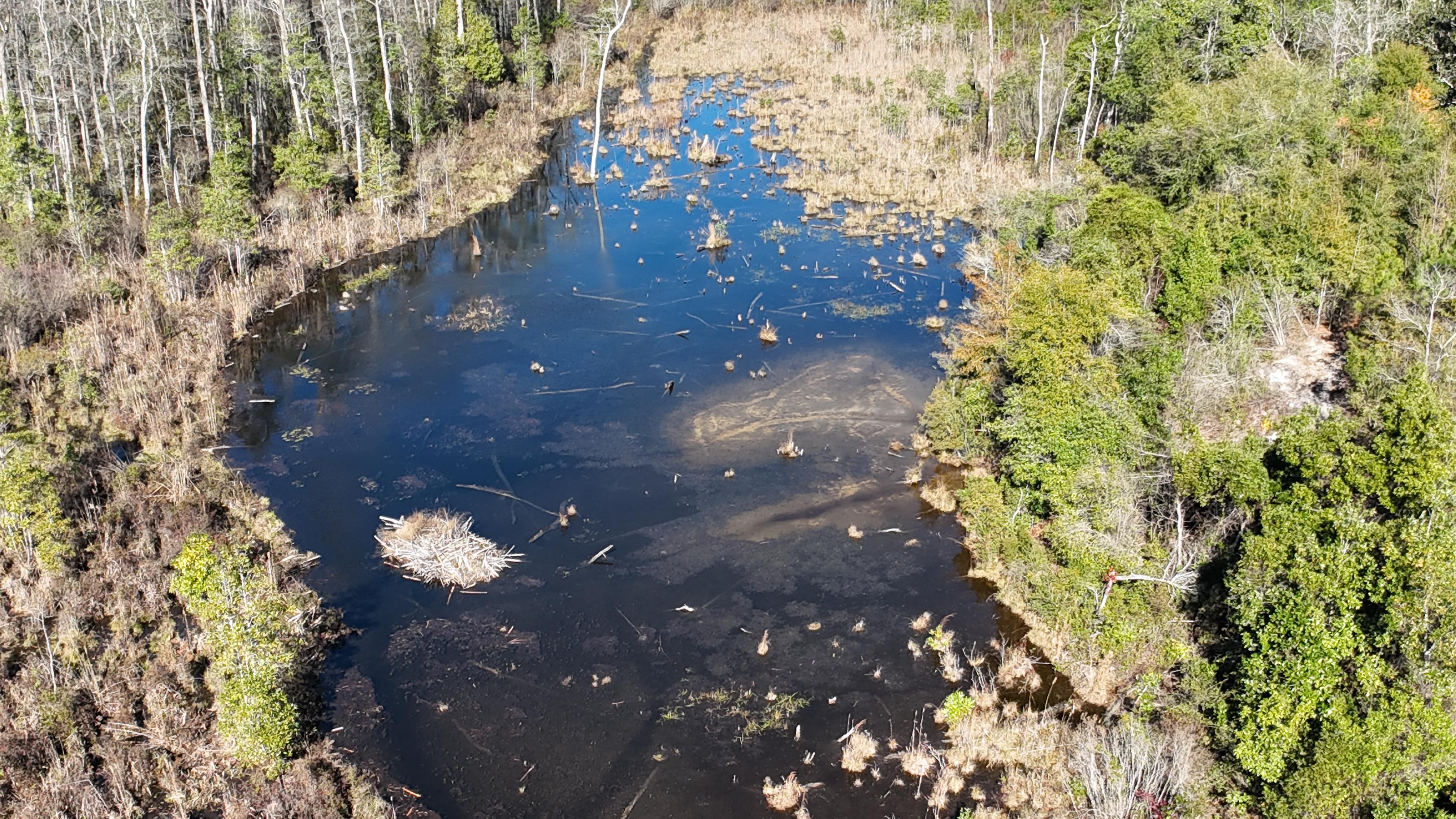 1379 Bookers Mill Road, Evergreen, AL 36401 | LandWatch