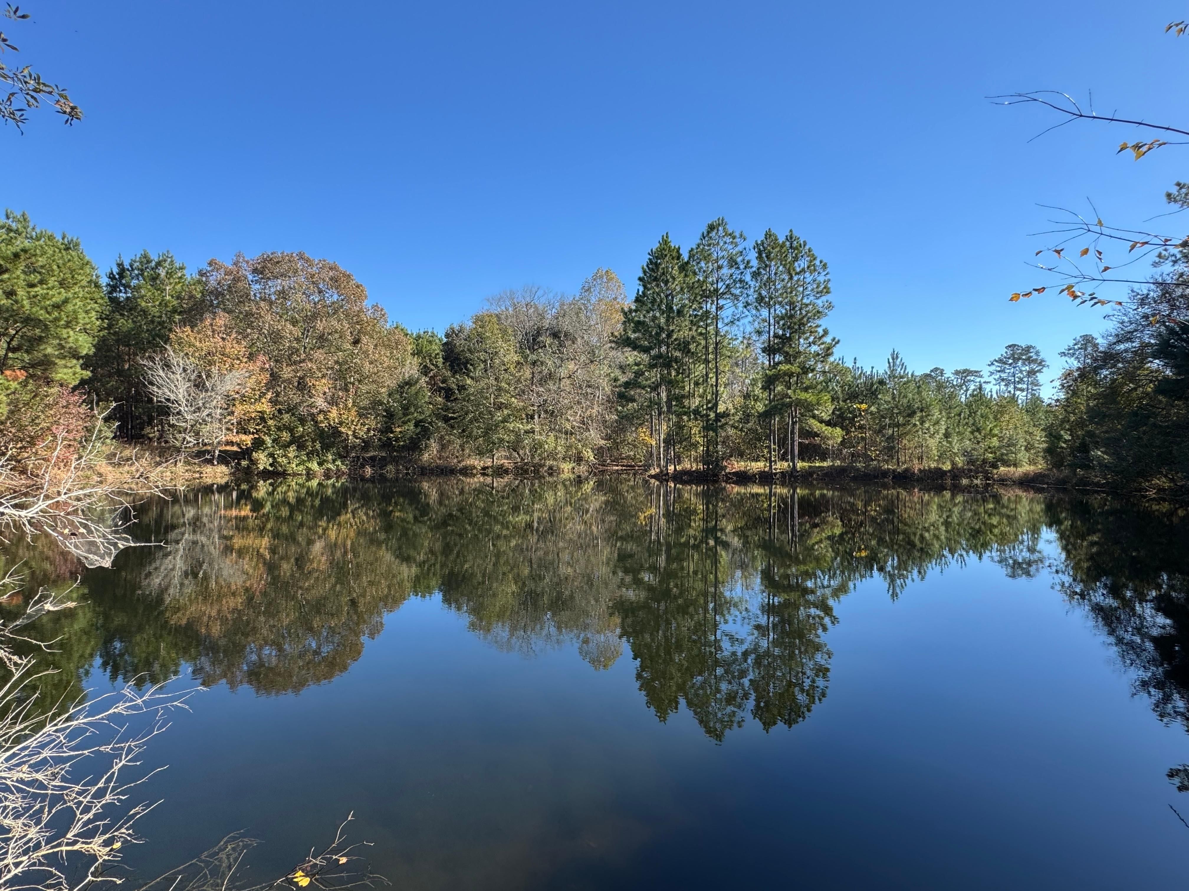 74 Cc Collier Rd, Ochlocknee, GA 31773 | LandWatch