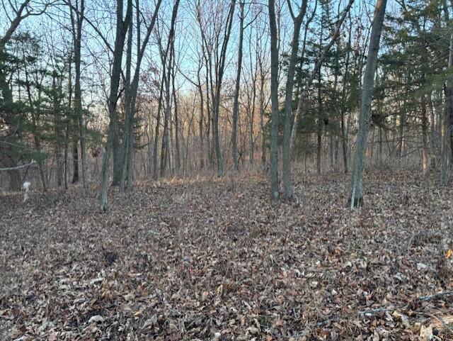 Foghorn Avenue, Callao, MO 63534 | MLS: Macon County - 12 Acre Wooded ...