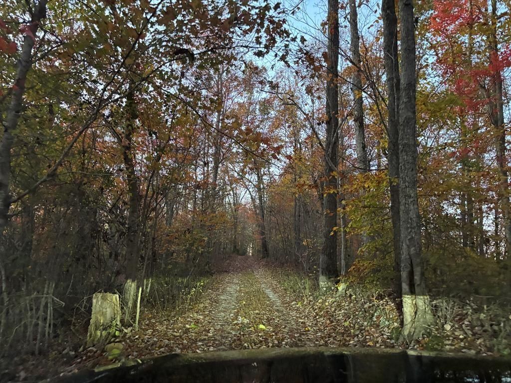 20.38 ac Smithville Highway, Silver Point, TN 38582 | MLS: 233584 ...
