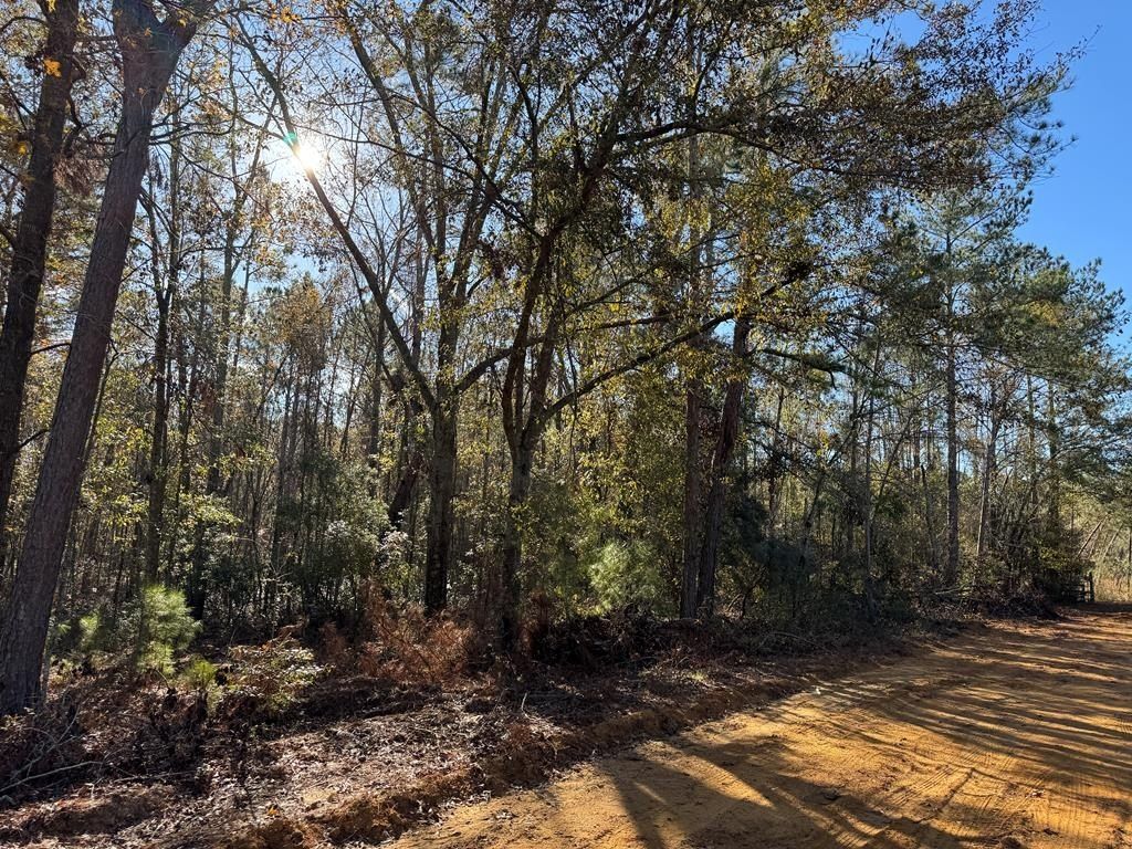 00 Simpson Road, Lyons, GA 30436 | MLS: 22933 | LandWatch