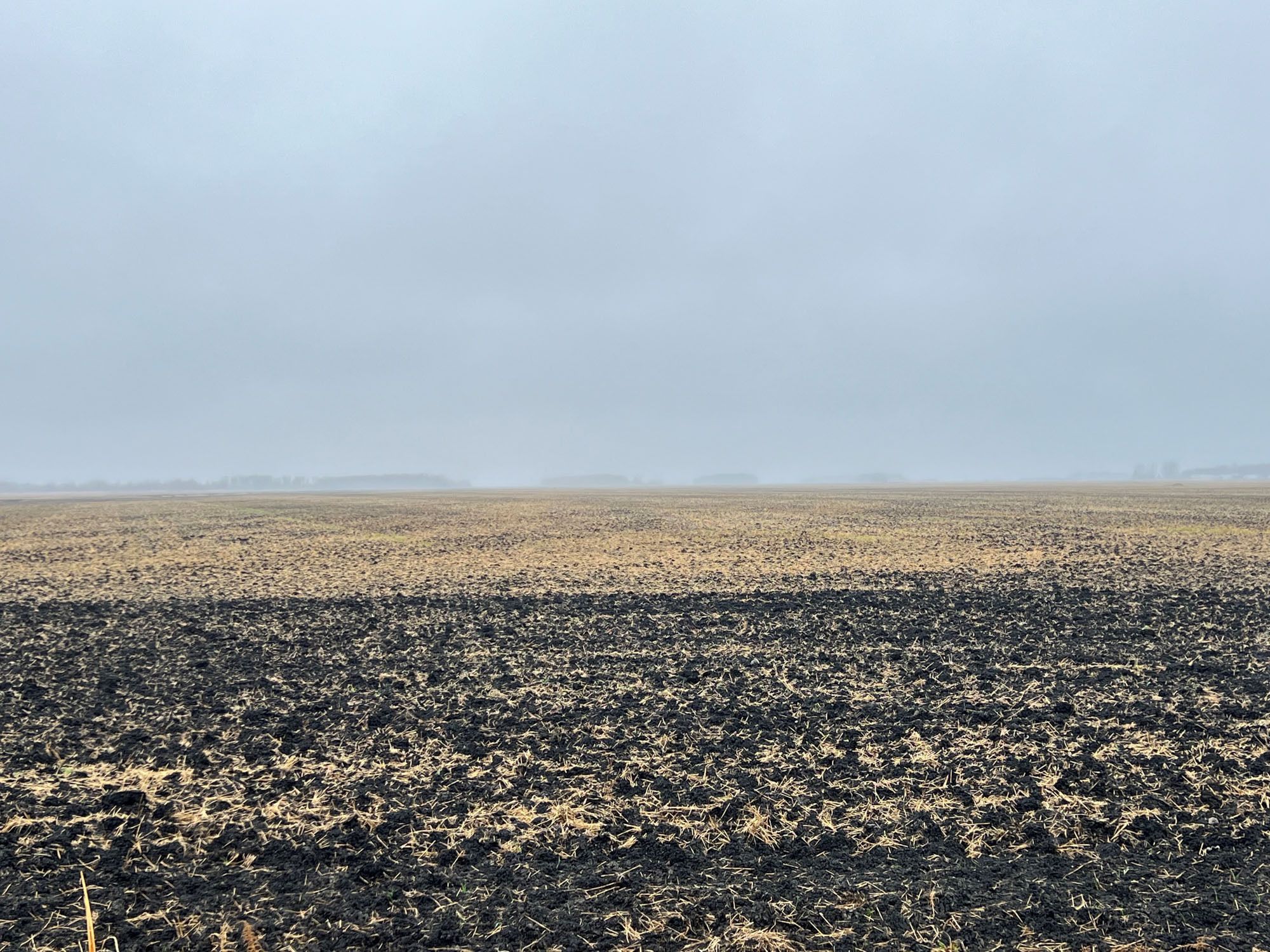 460.93 acres in Greenbush, MN, 56714 | LandWatch