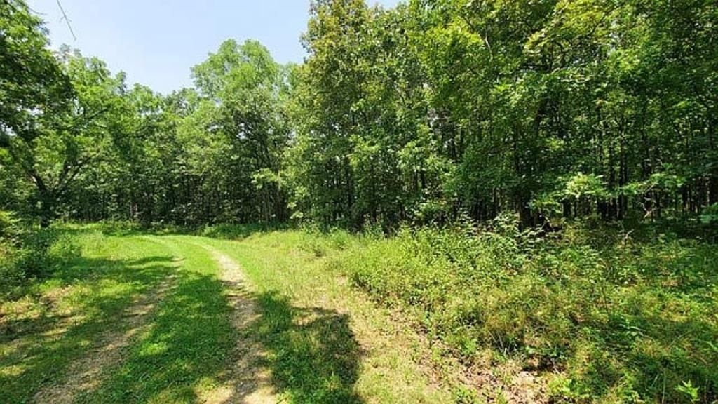 Corkery Pl, Edwards, MO 65326 | LandWatch