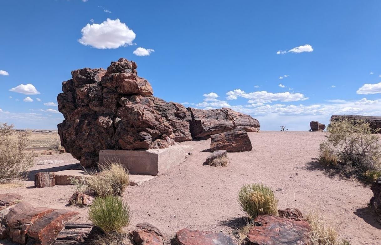 County Road N5463, Concho, AZ 85924 | LandWatch