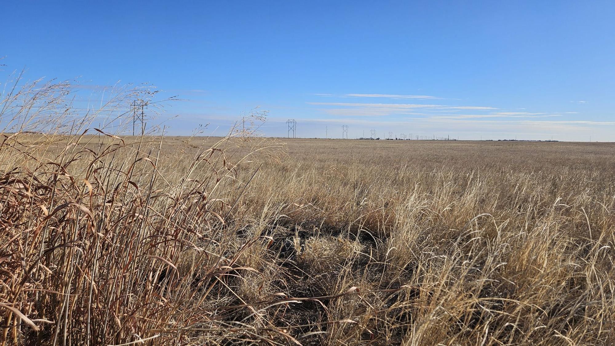 256 acres in Yuma, CO, 80759 | MLS: Villines CRP-Dryland Auction ...