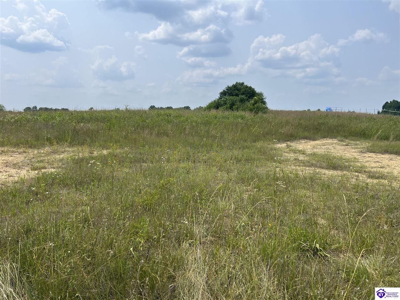 8340 Hardinsburg Road, Custer, KY 40115 | MLS: HK24004714 | LandWatch