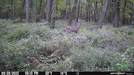 E Jasper Lane, Lot #WP001, Dundas, IL 62425 | LandWatch