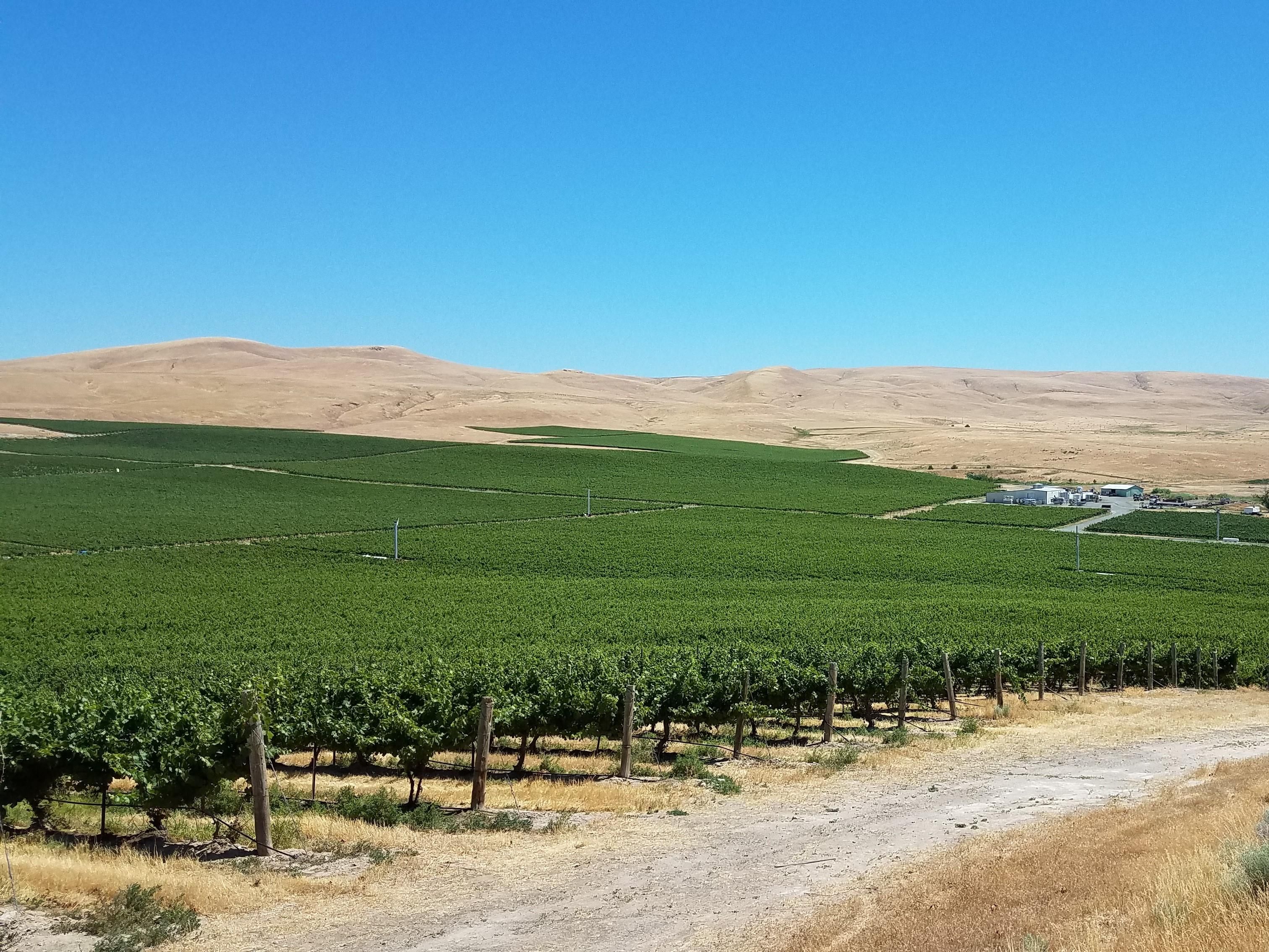 Vintage Rd, Zillah, WA 98953 | LandWatch