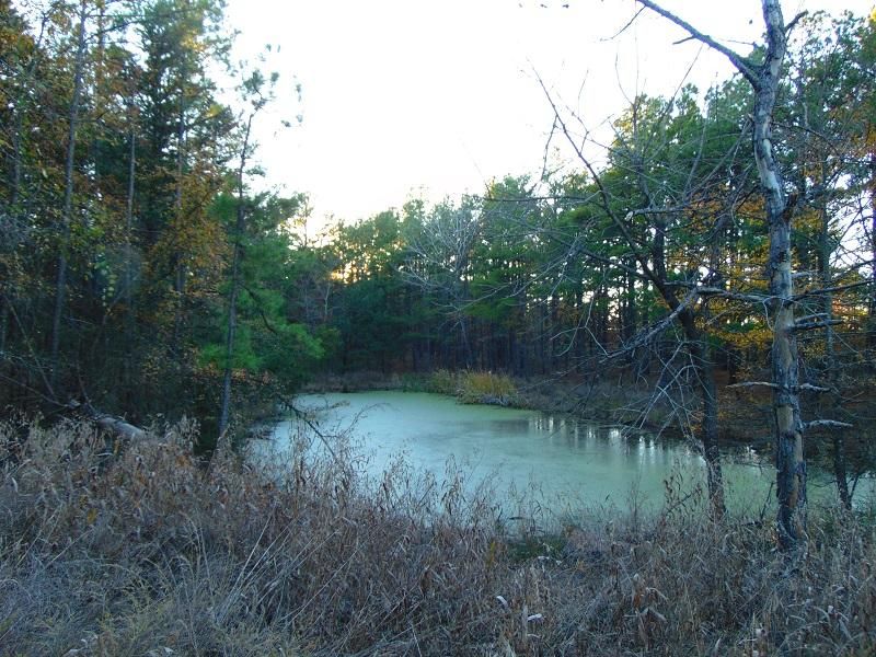 12.62 acres in Fanshawe, OK, 74966 | LandWatch