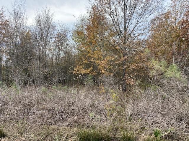 21 acres in Holly Ridge, LA, 71269 | LandWatch