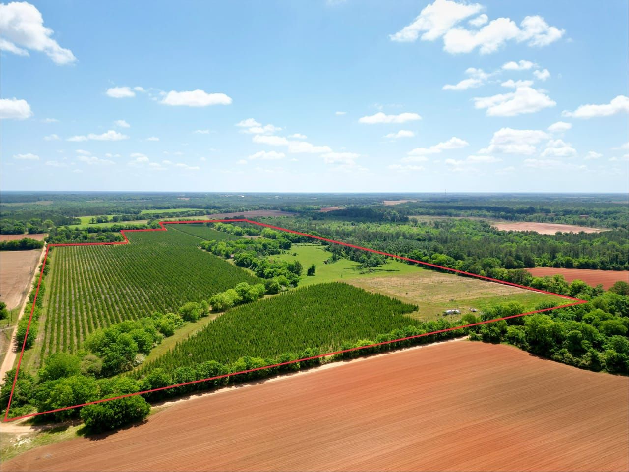 Mill Pond Rd, Coleman, GA 31791 | LandWatch